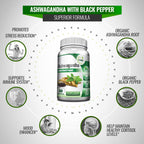 ashwagandha for improved sleep quality