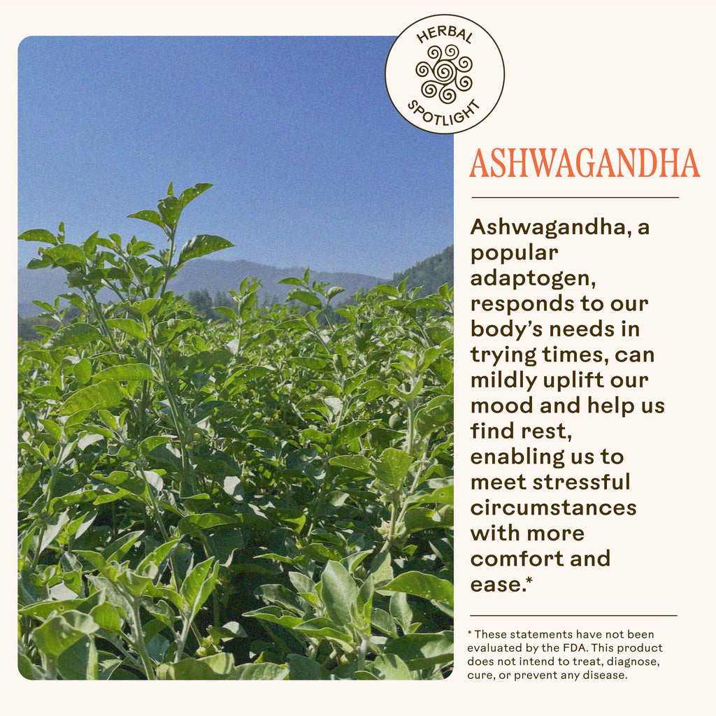 ashwagandha for mental clarity