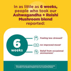 Ashwagandha for mental clarity
