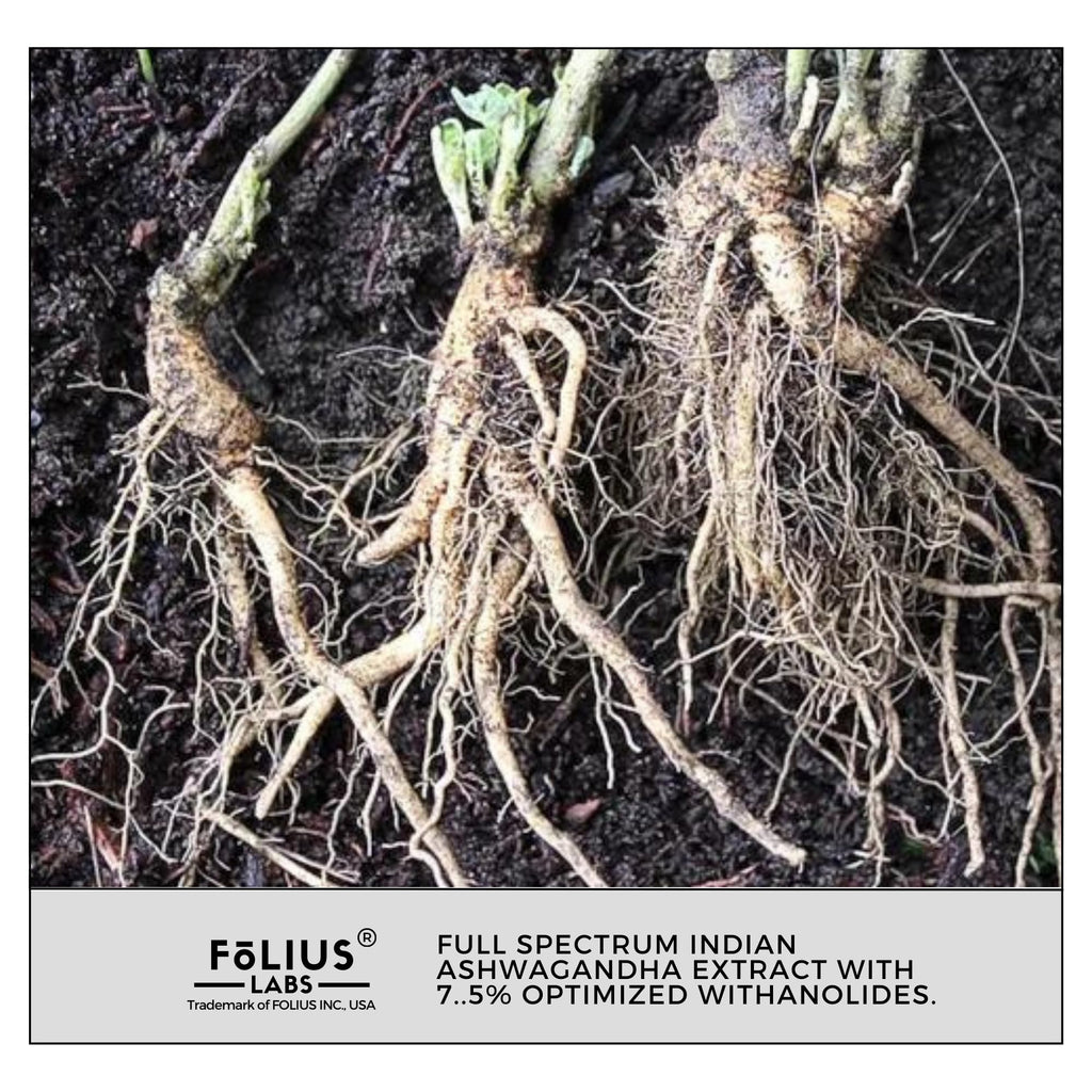 ashwagandha for overall health benefits