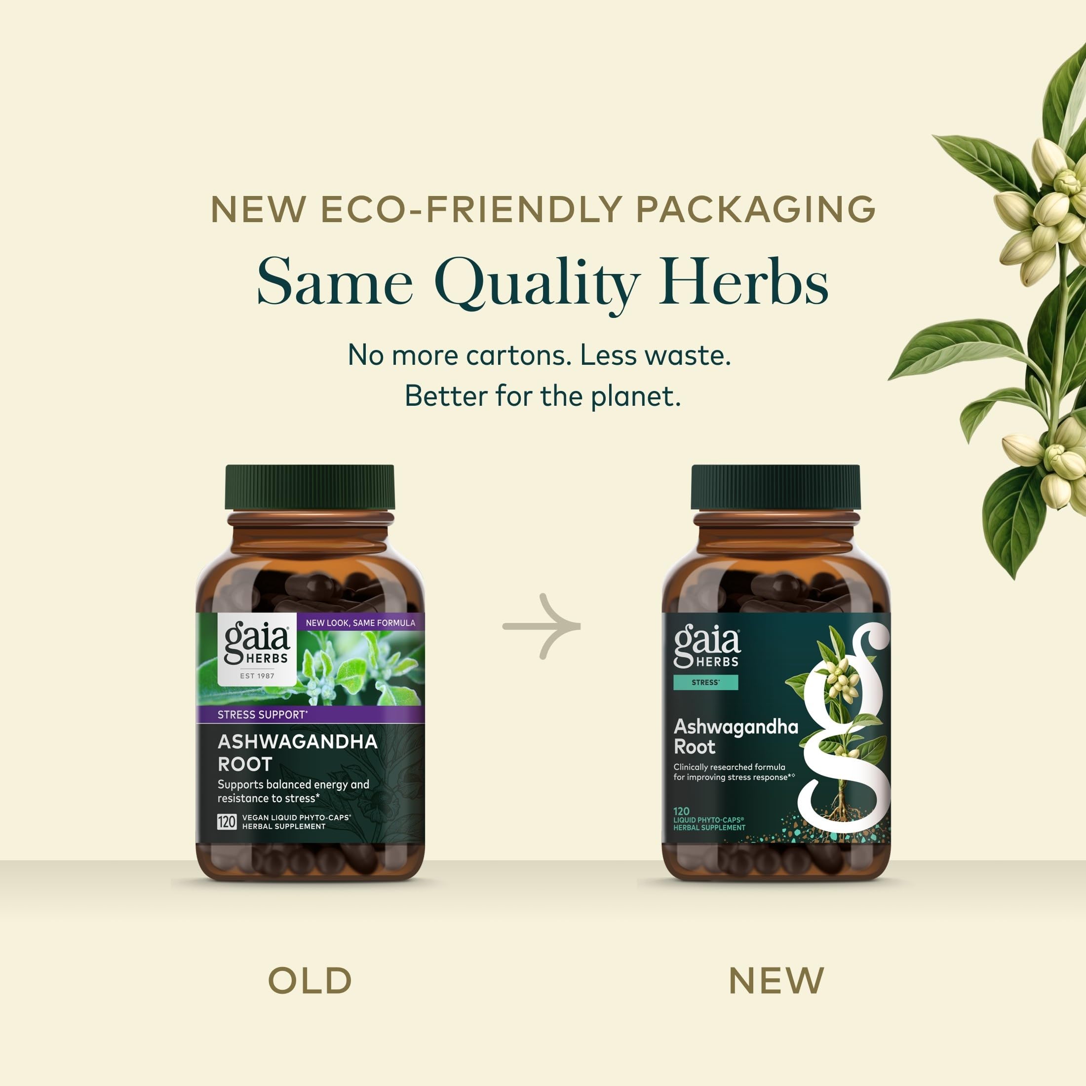 ashwagandha for overall health support