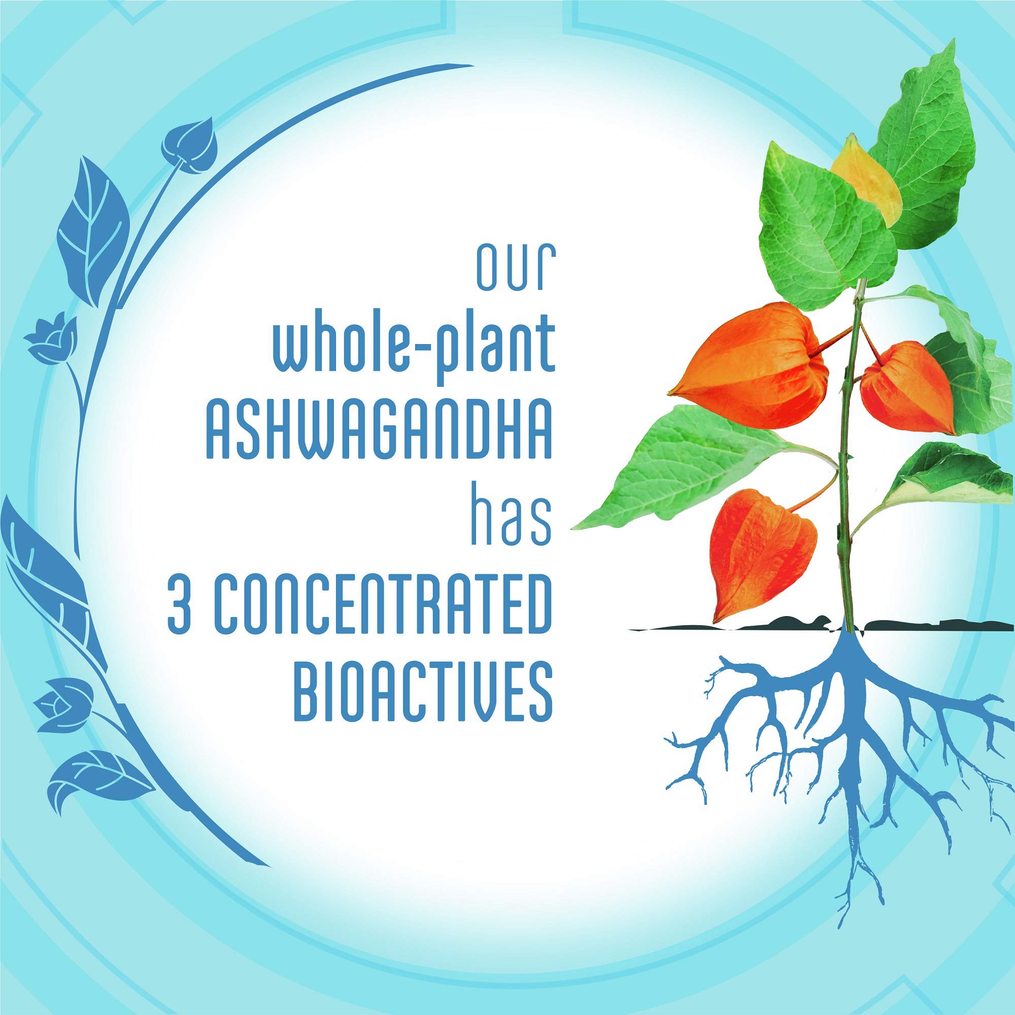 ashwagandha gummies for calmness