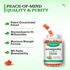 ashwagandha gummies for mood support
