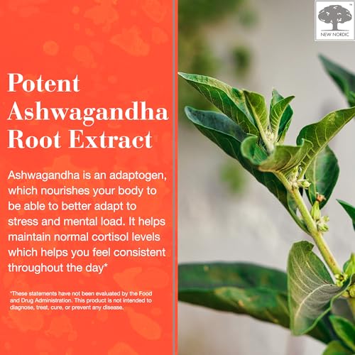 ashwagandha gummies with magnesium