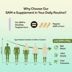 Ashwagandha infused multivitamin capsules