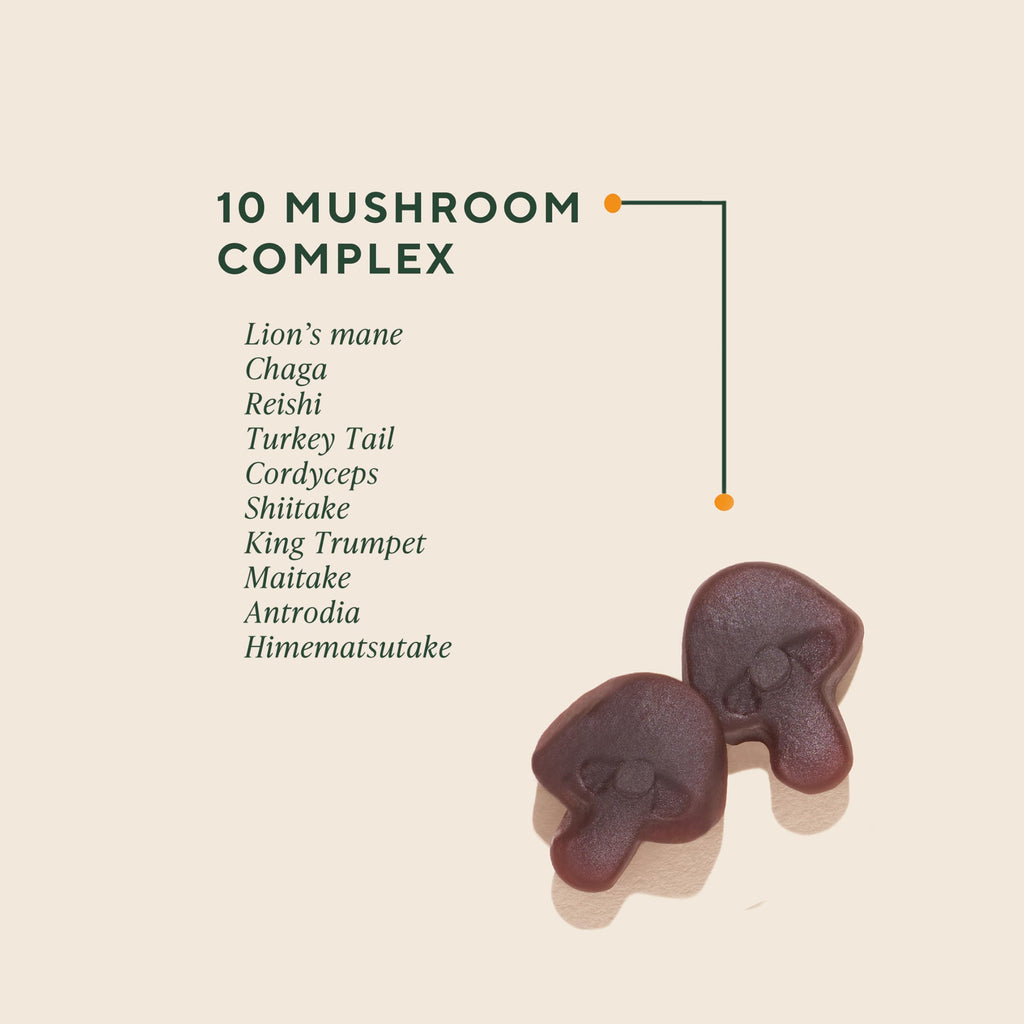 ashwagandha infused mushroom gummies