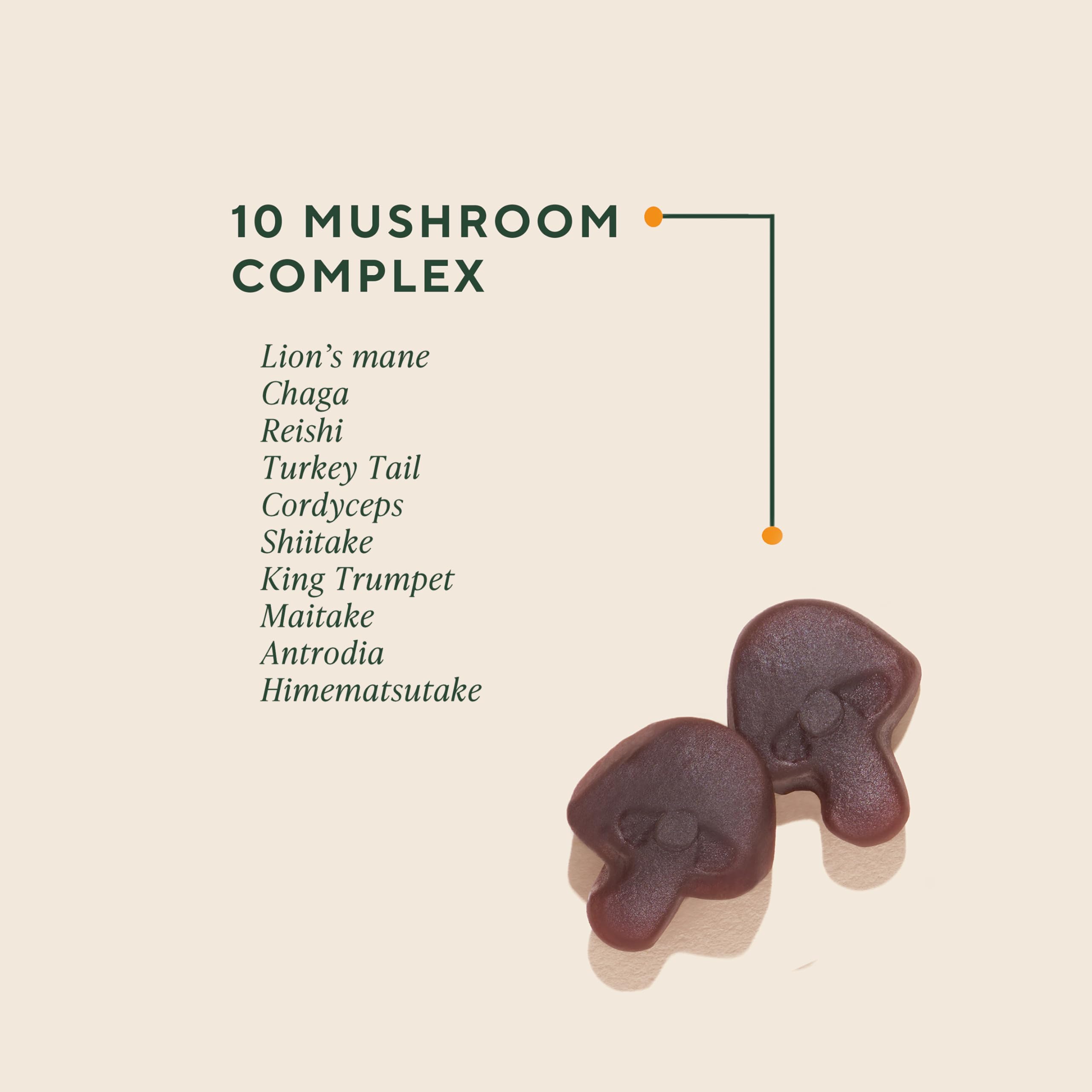 ashwagandha infused mushroom gummies