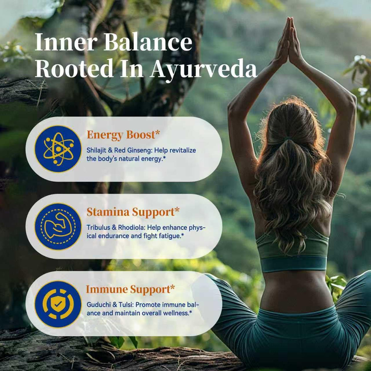 ashwagandha infused shilajit benefits