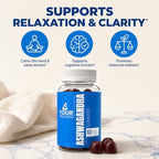 ashwagandha ksm-66 for anxiety management
