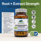 Ashwagandha ksm-66 for enhanced mood