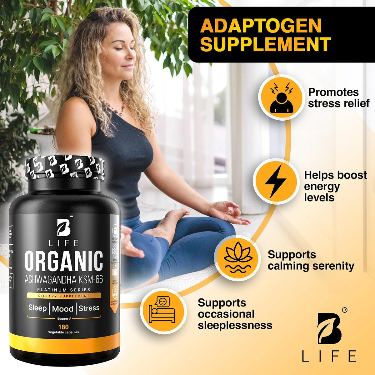 ashwagandha ksm-66 for improved focus