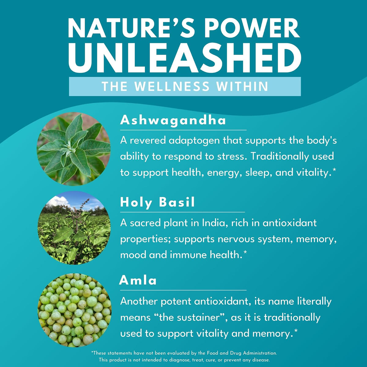 ashwagandha ksm-66 for mental clarity