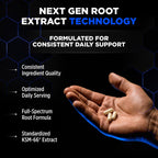 ashwagandha KSM-66 for mental clarity