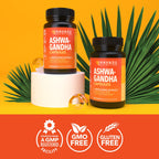 ashwagandha ksm-66 for mood support