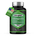 Ashwagandha KSM-66 for stress relief
