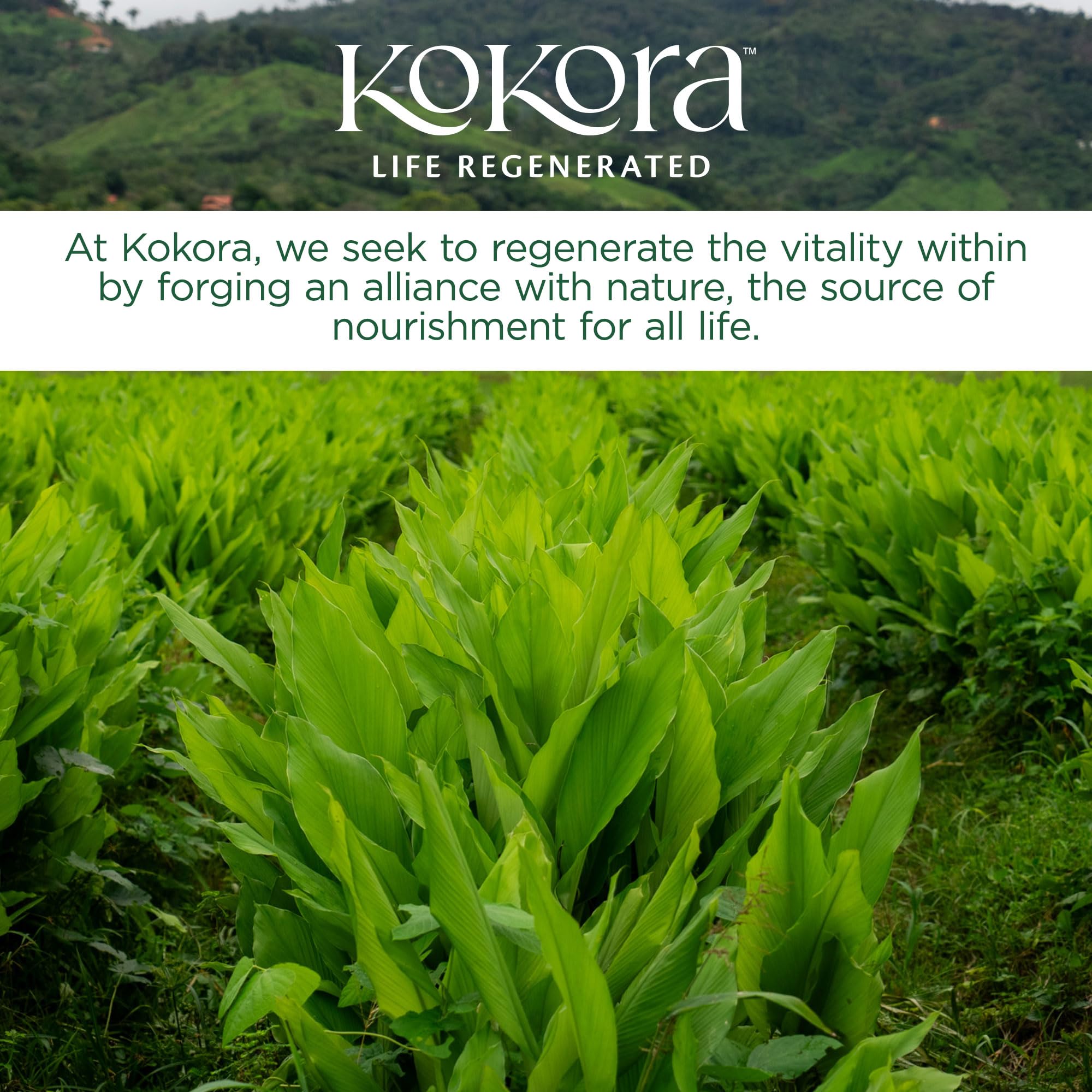 Ashwagandha mushrooms for relaxation