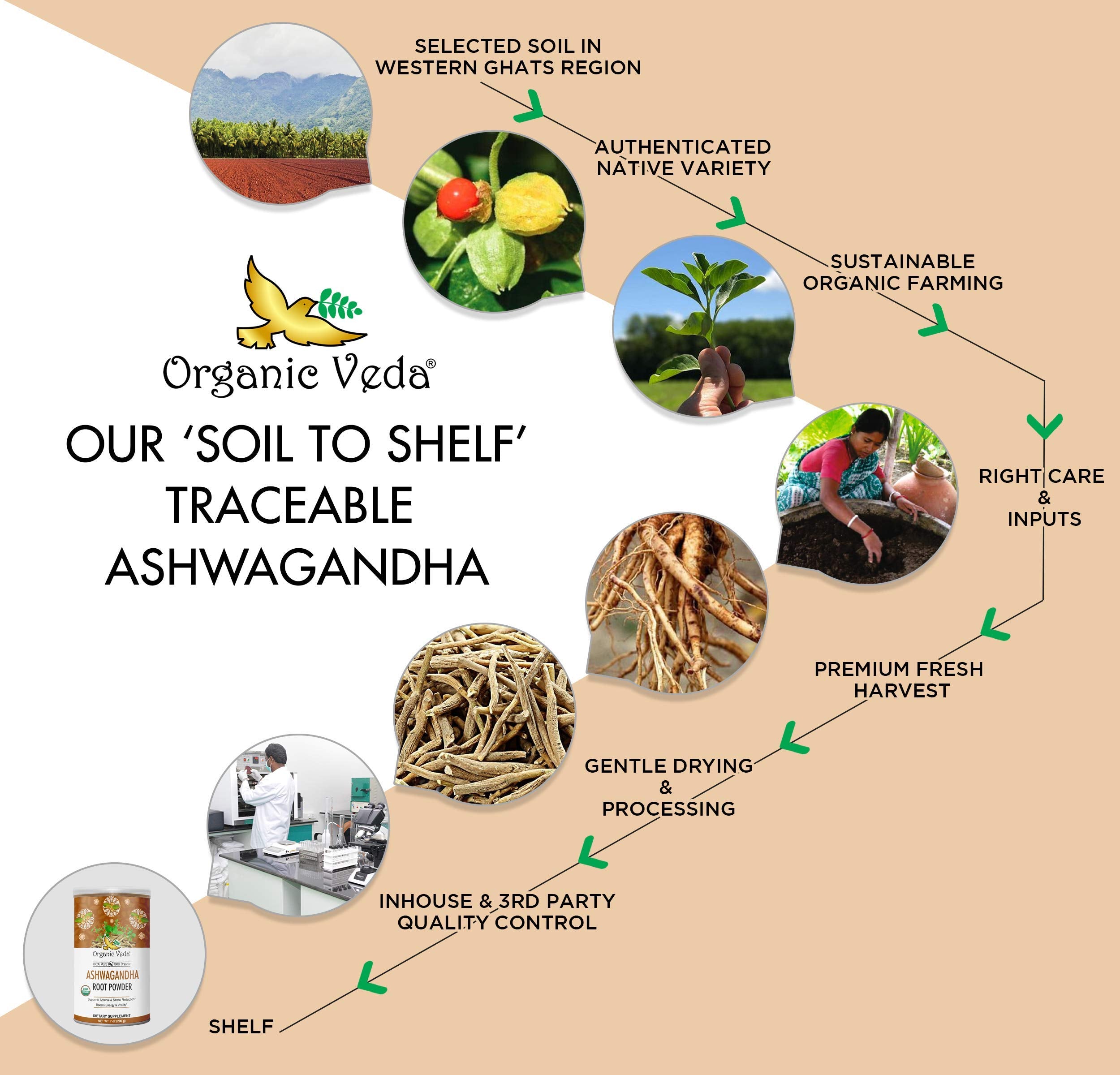 ashwagandha powder for better sleep