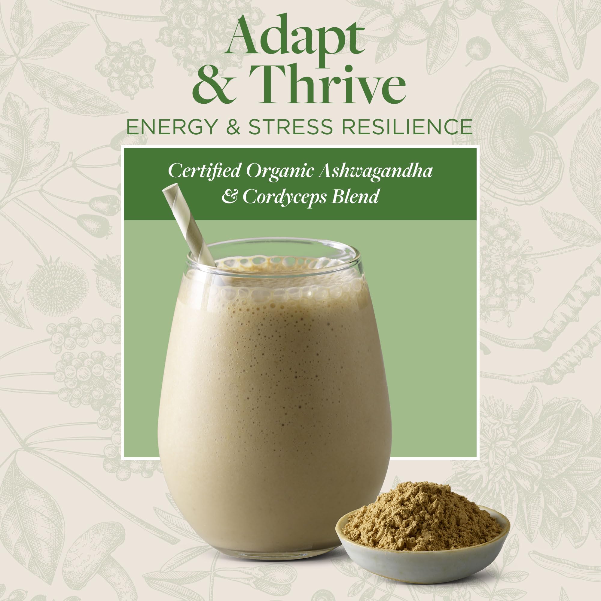 Ashwagandha powder for enhanced focus