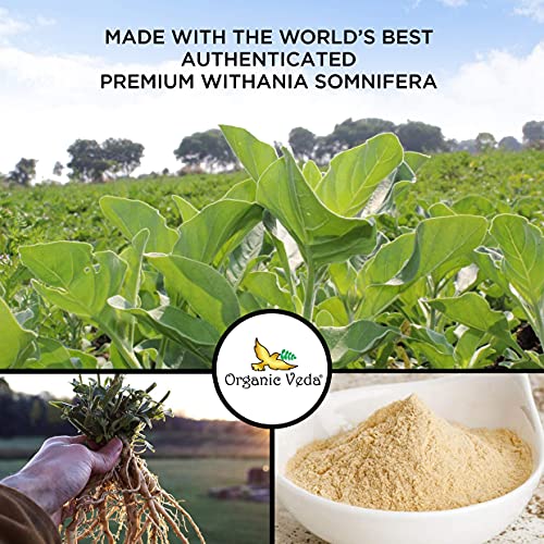 ashwagandha powder for workout recovery