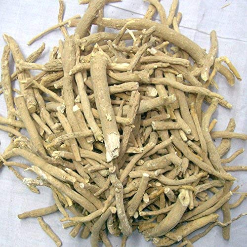 ashwagandha root for daily wellness