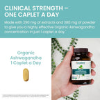 ashwagandha root for overall wellness