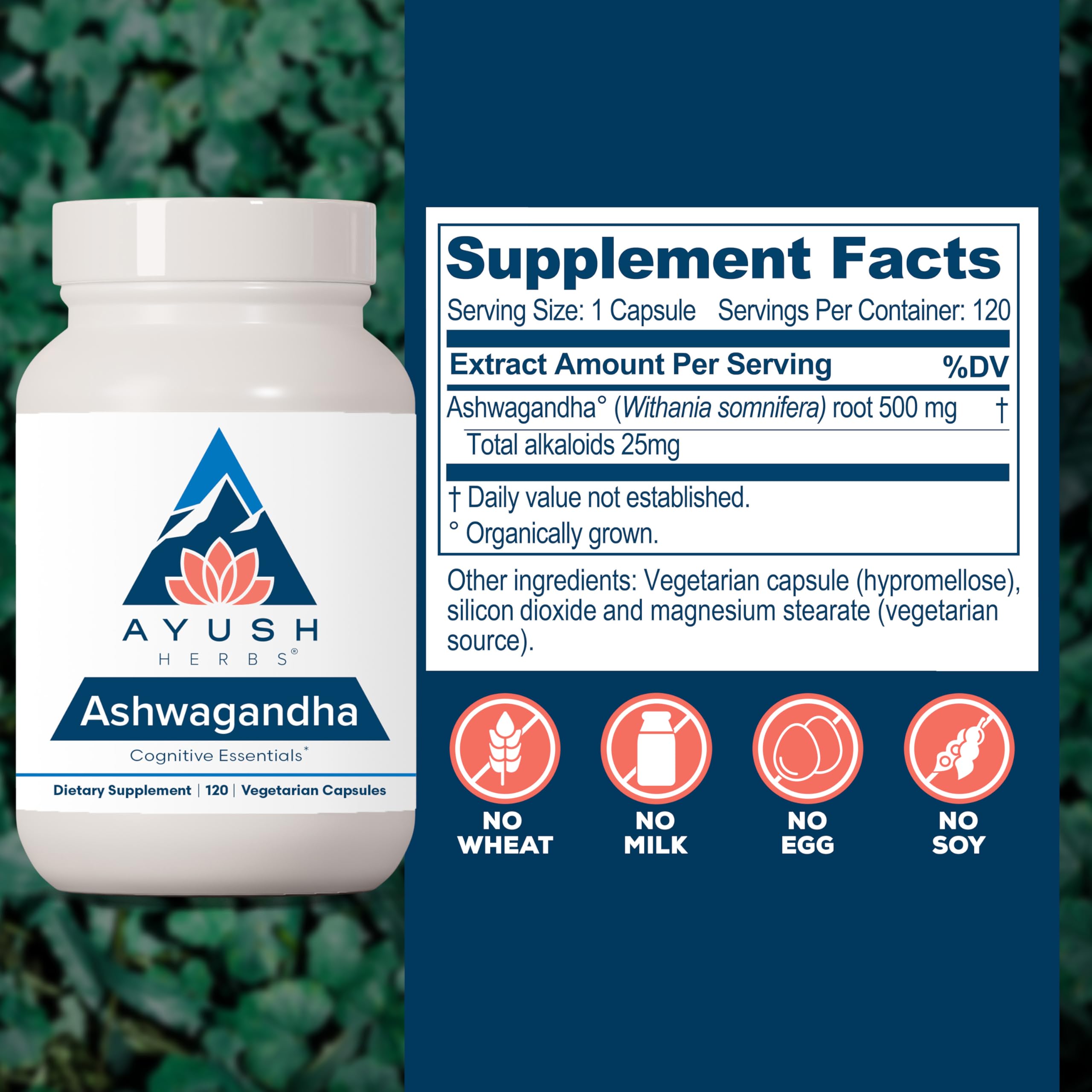 ashwagandha root powder for relaxation