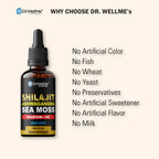 Ashwagandha sea moss health benefits