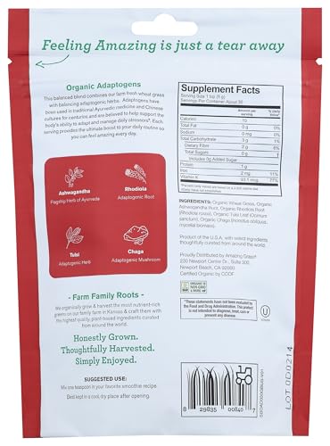 ashwagandha smoothie mix for balance