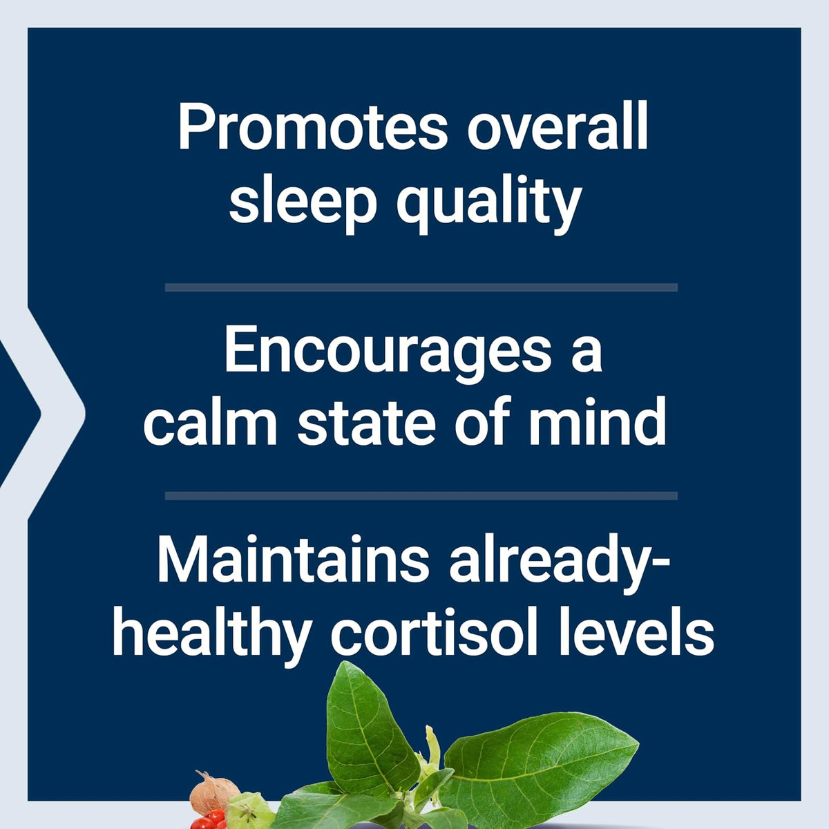 Ashwagandha softgels for stress relief