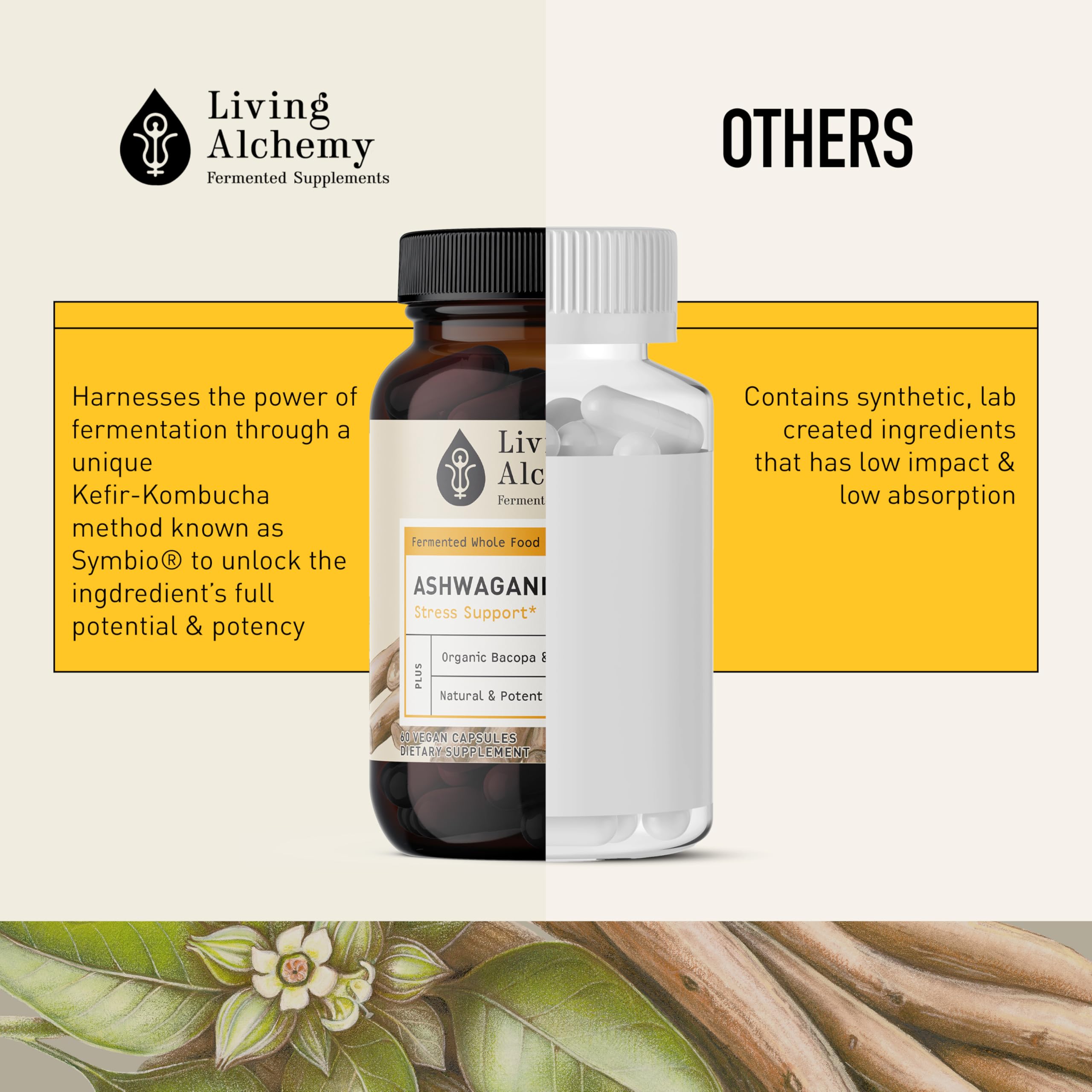 ashwagandha supplement for energy boost