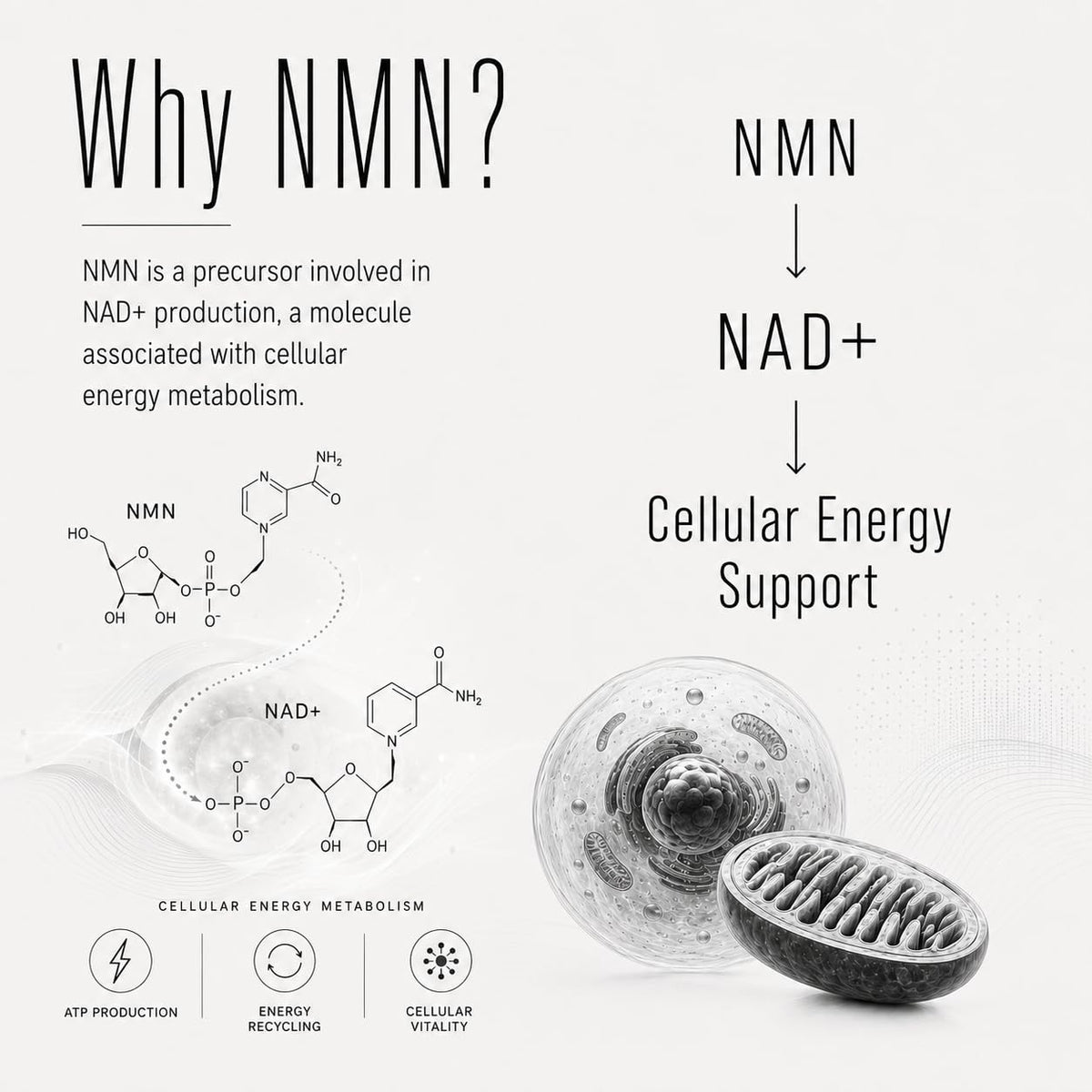 AskTaTa NMN capsules for vitality