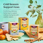 assorted herbal tea flavours