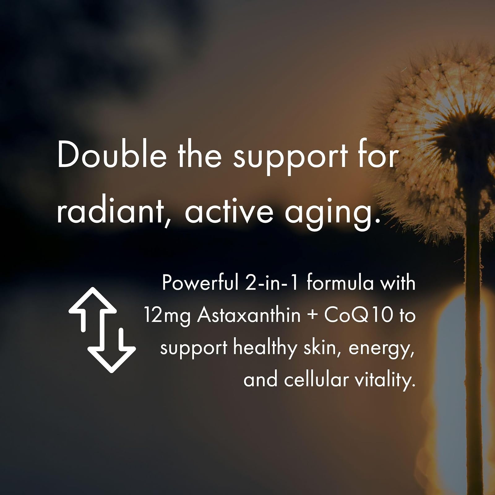 Astaxanthin 12 mg antioxidant benefits