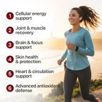 Astaxanthin 12 mg antioxidant support