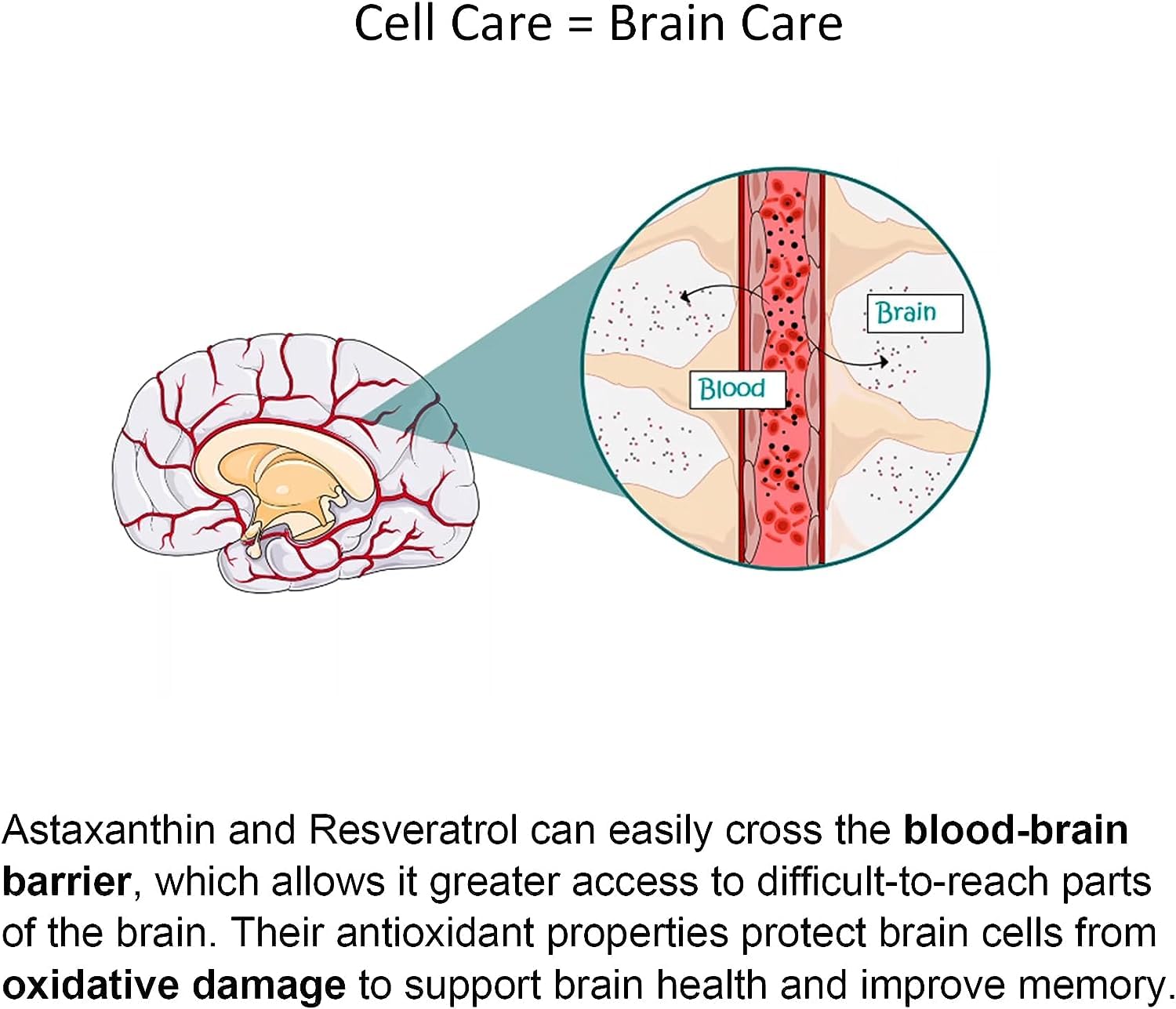Astaxanthin and Resveratrol health benefits
