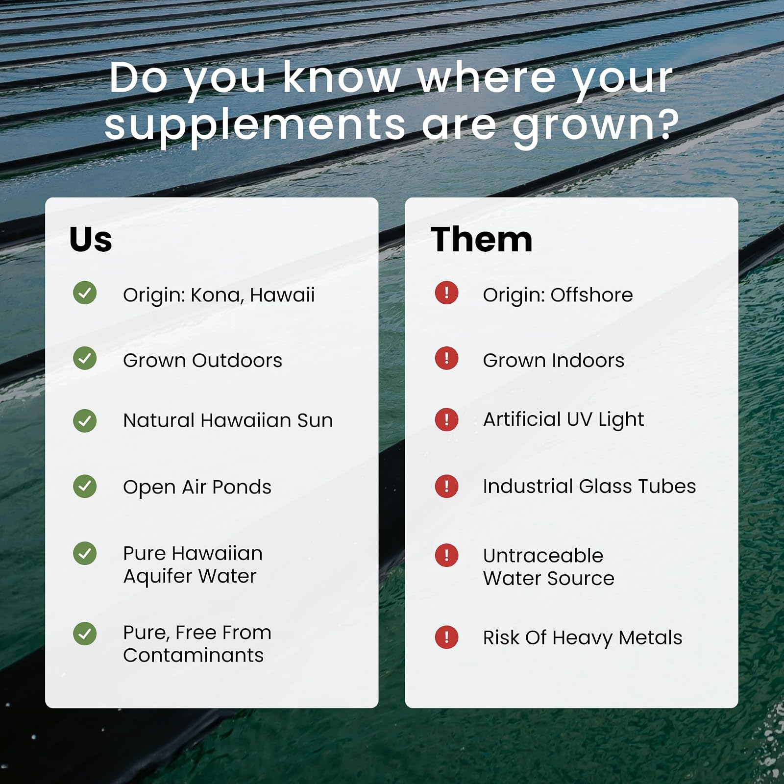 astaxanthin support for eye health
