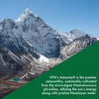 AstaZine Astaxanthin for athletic performance