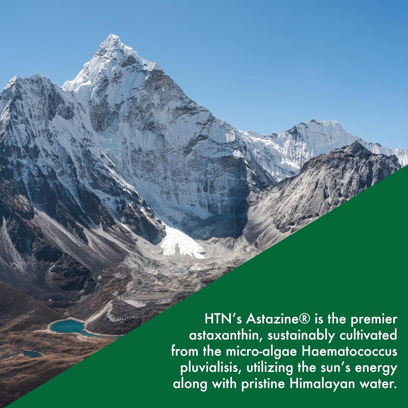 AstaZine Astaxanthin for athletic performance