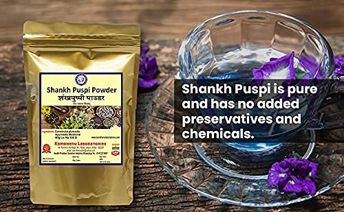 Astha Kamdhenu Shankh energy enhancement