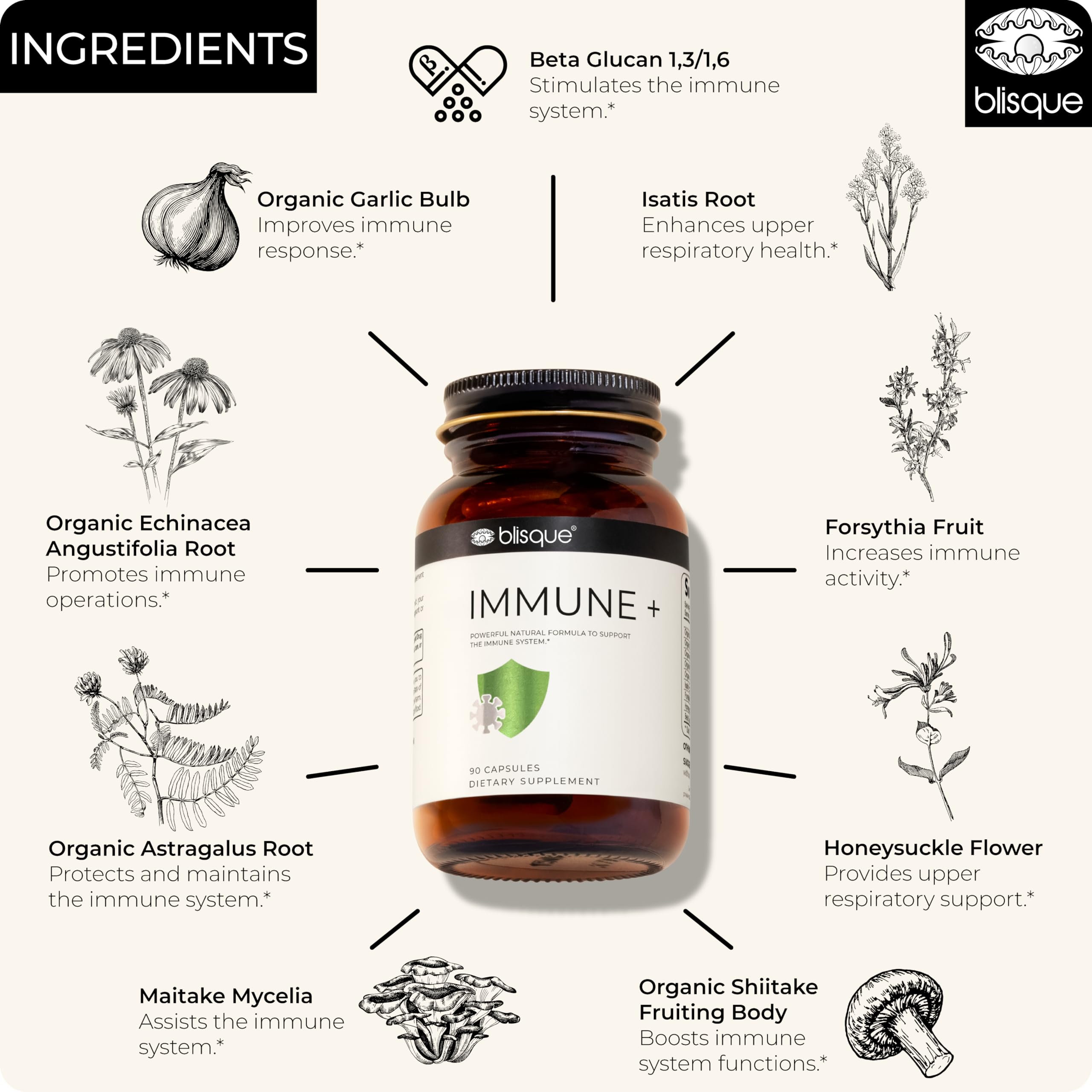 astragalus and echinacea for wellness