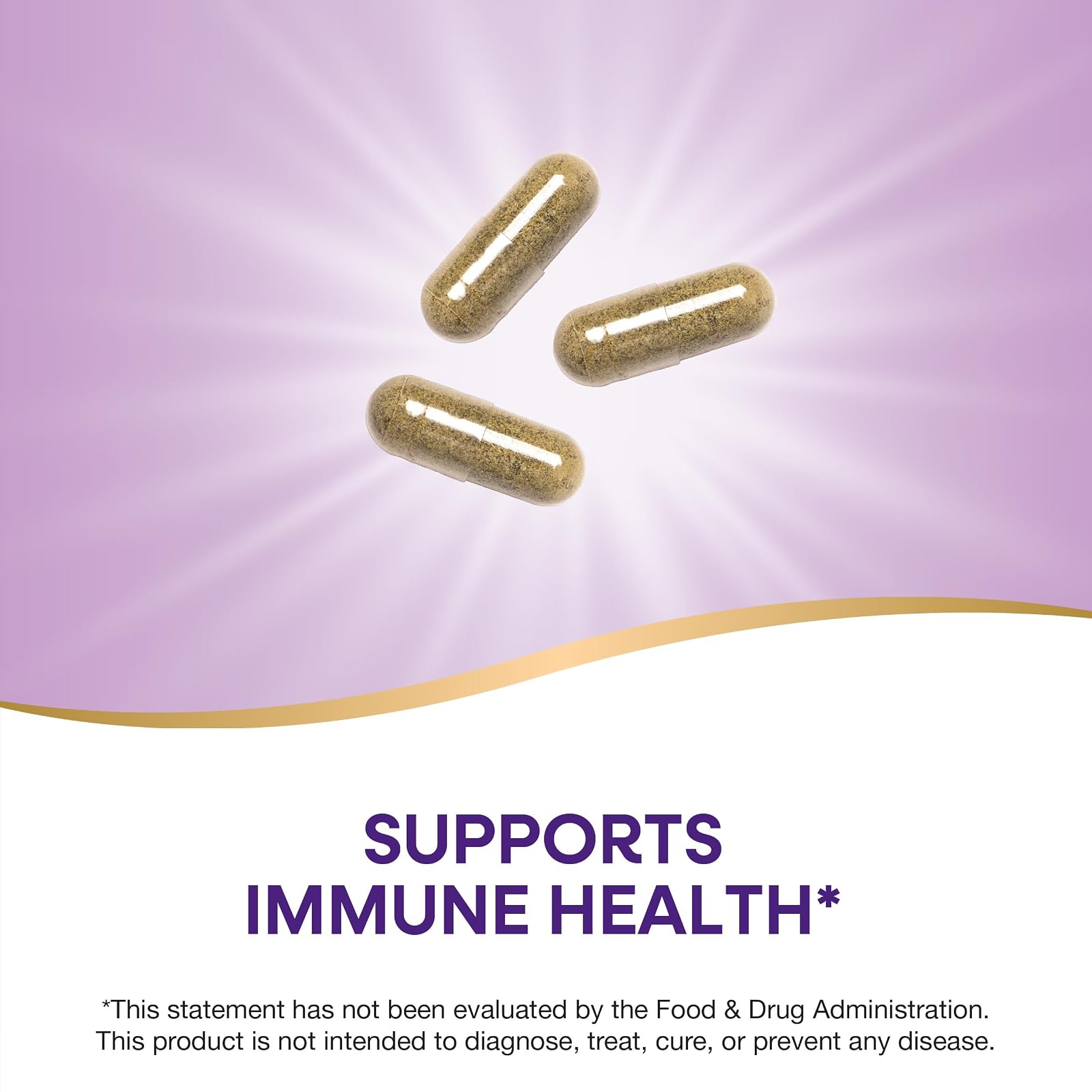 Astragalus and reishi health benefits