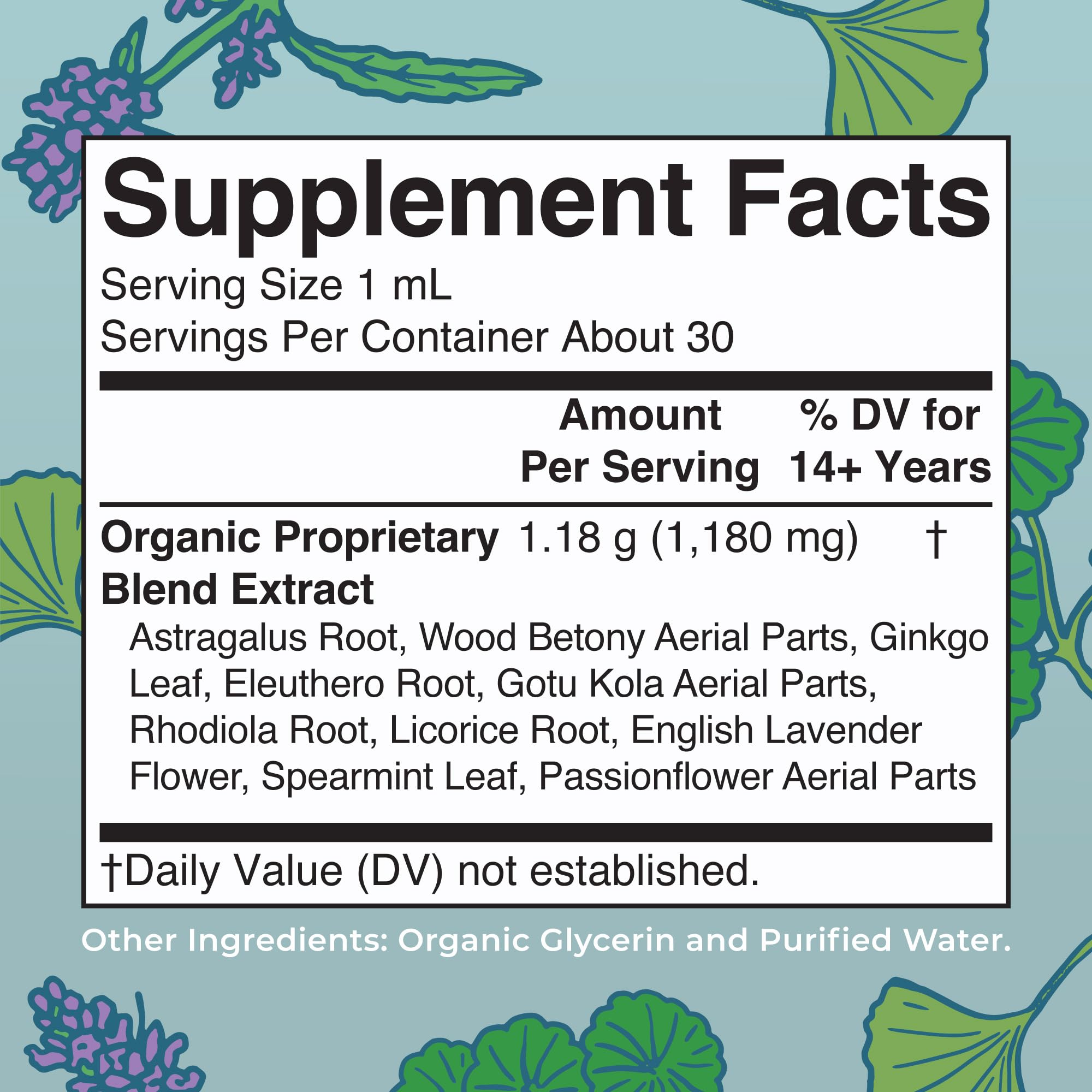 Astragalus benefits for daily wellness