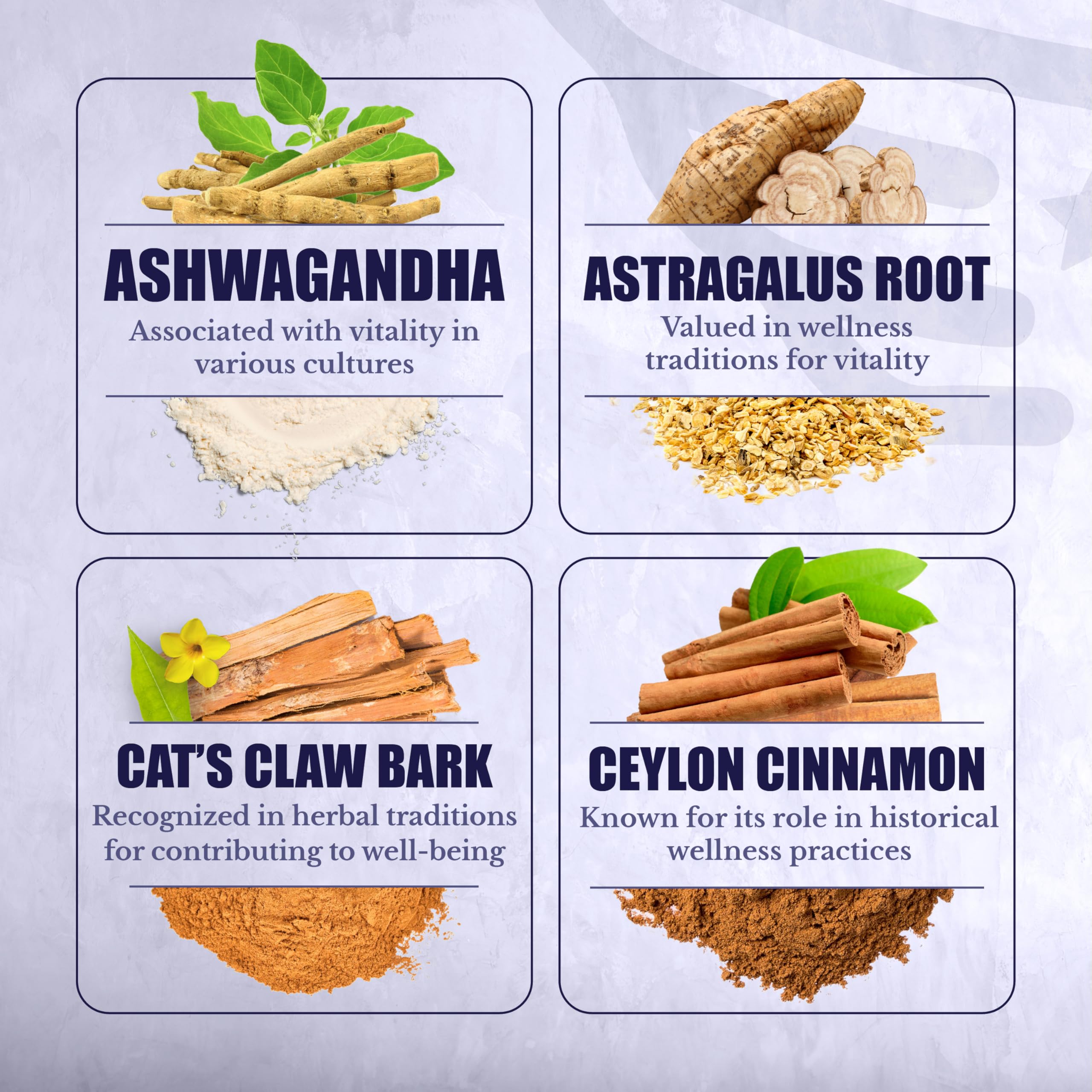 Astragalus benefits for stress relief