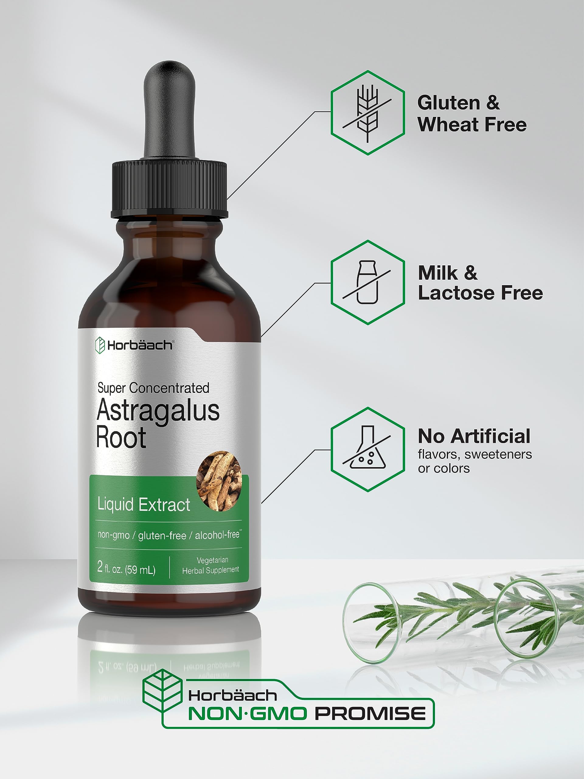 astragalus benefits for wellness