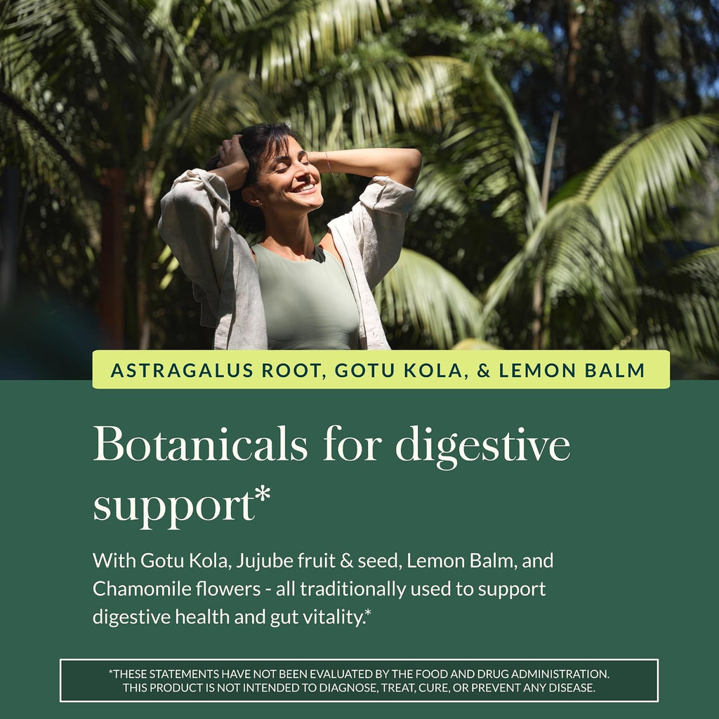 Astragalus capsules for everyday wellness