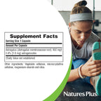 Astragalus capsules for overall wellness