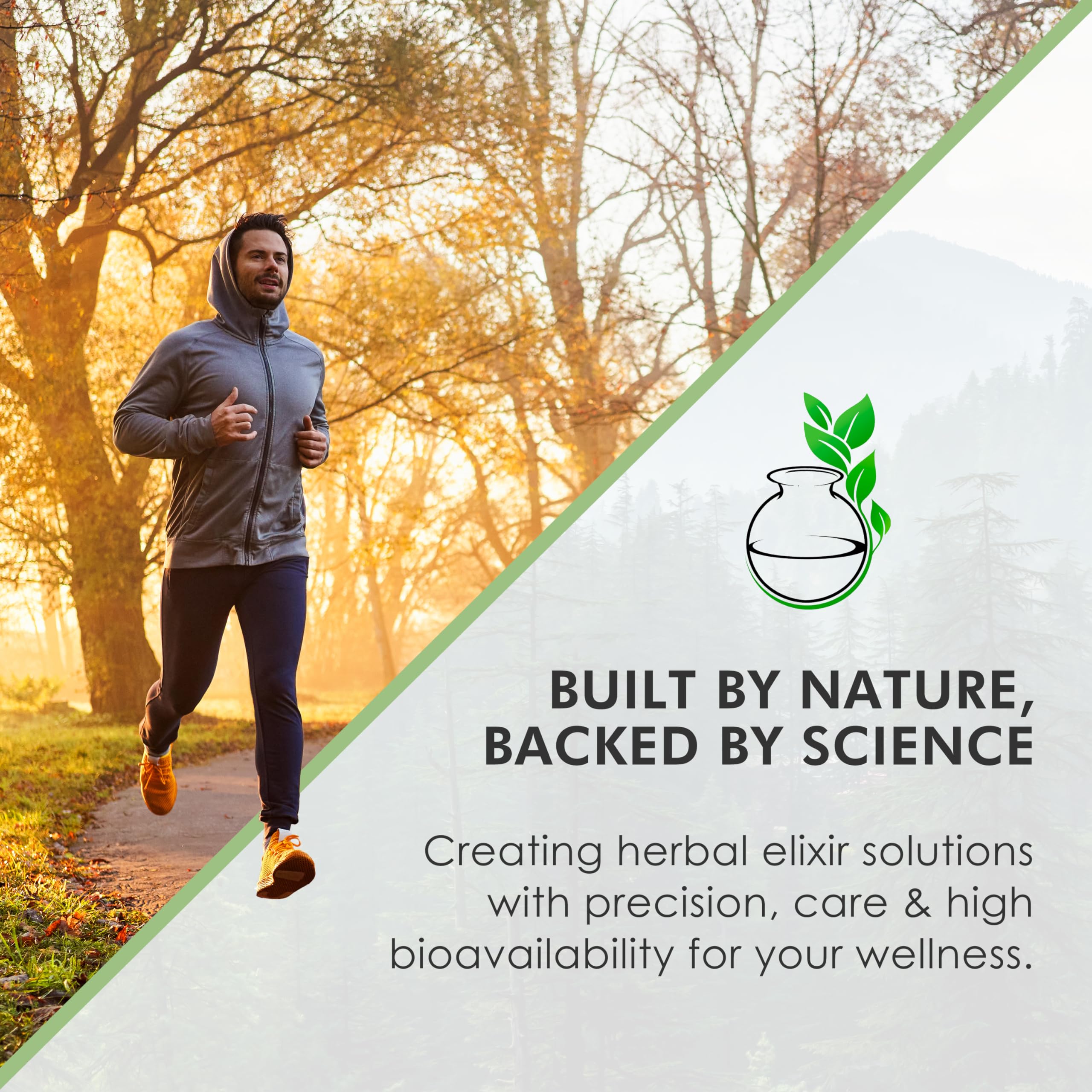 Astragalus extract for better aging
