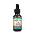 astragalus extract for children's health