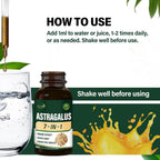 astragalus extract for energy boost