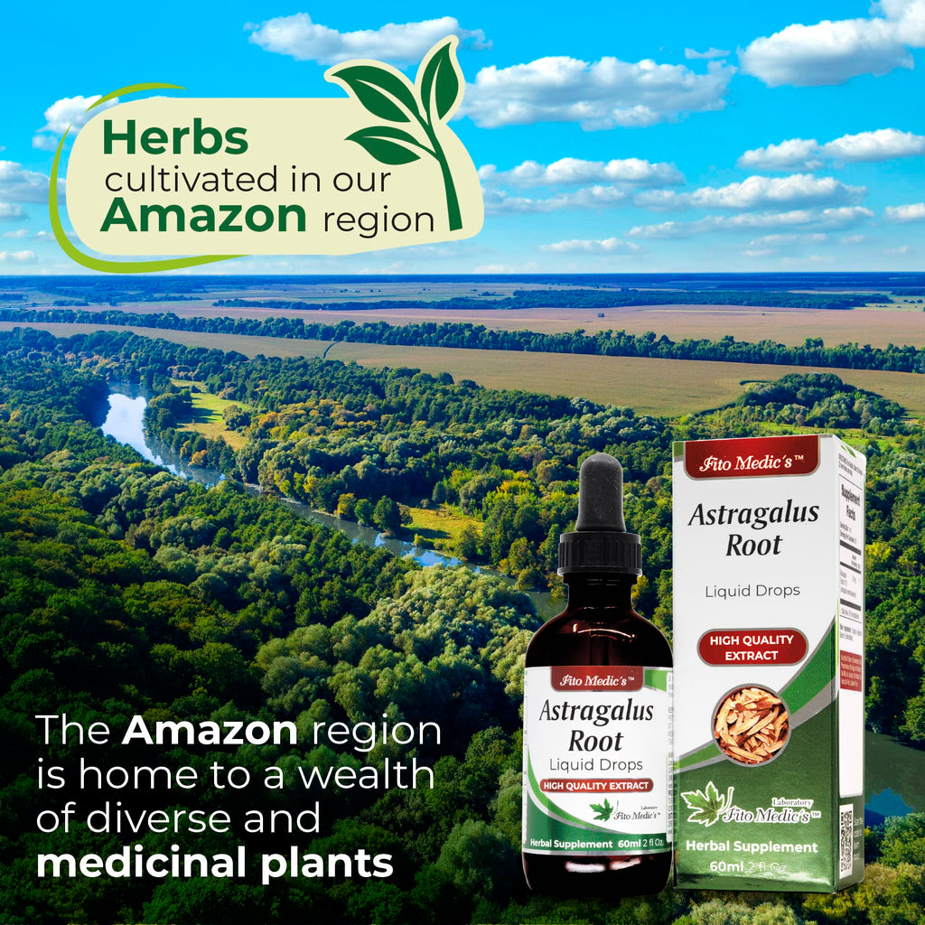 astragalus extract for immune support